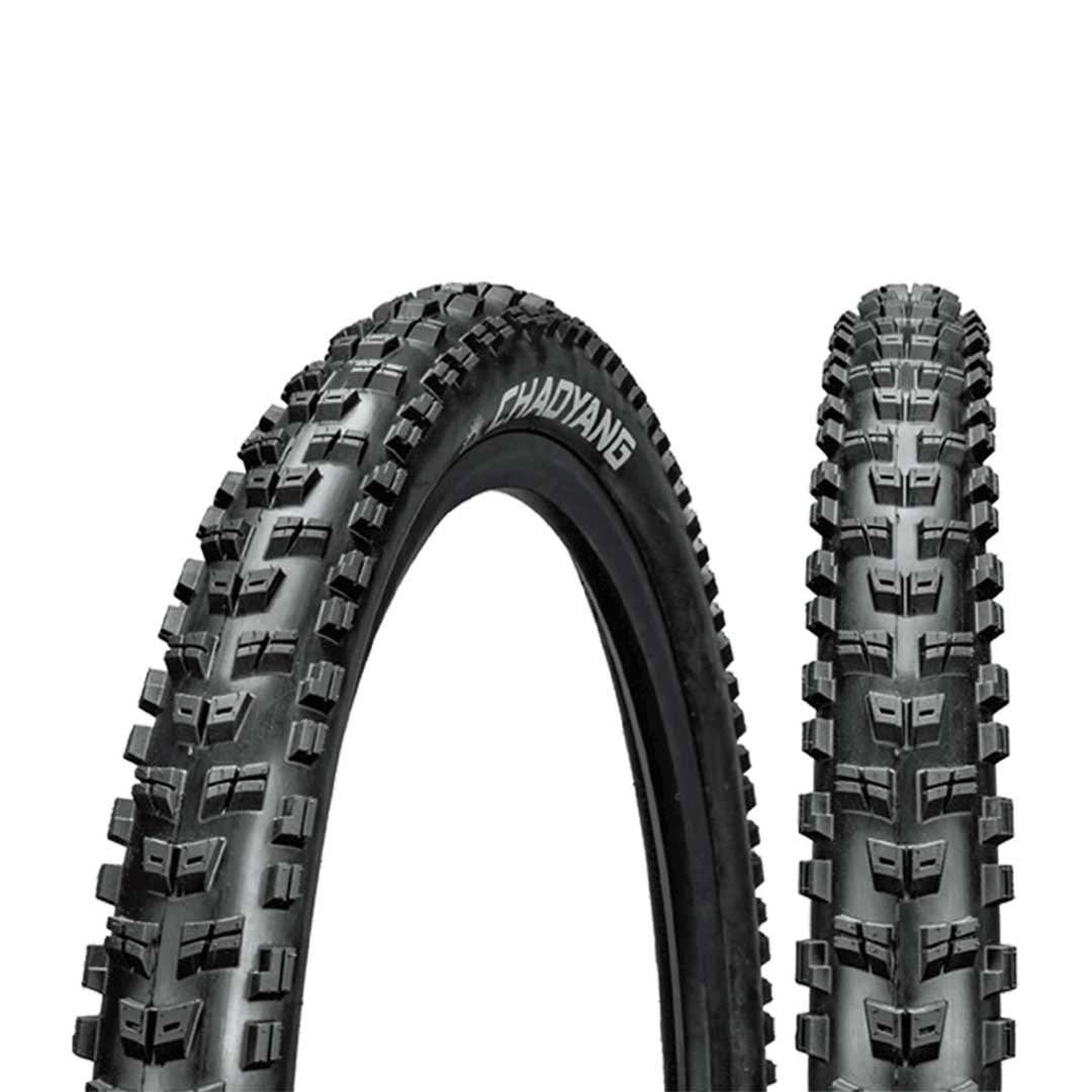 Chaoyang Rock Wolf Tag 60 TPI 2C-MTB S+PS 29" x 2.35 – Storm Bikes Perú